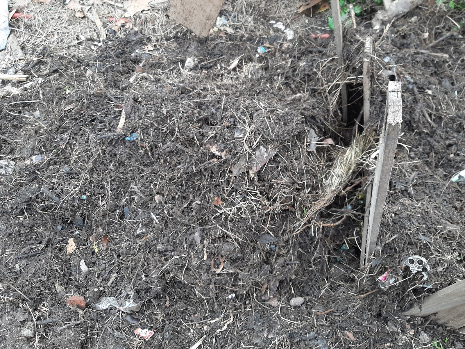 Qué es el compostaje y cómo se hace el compost