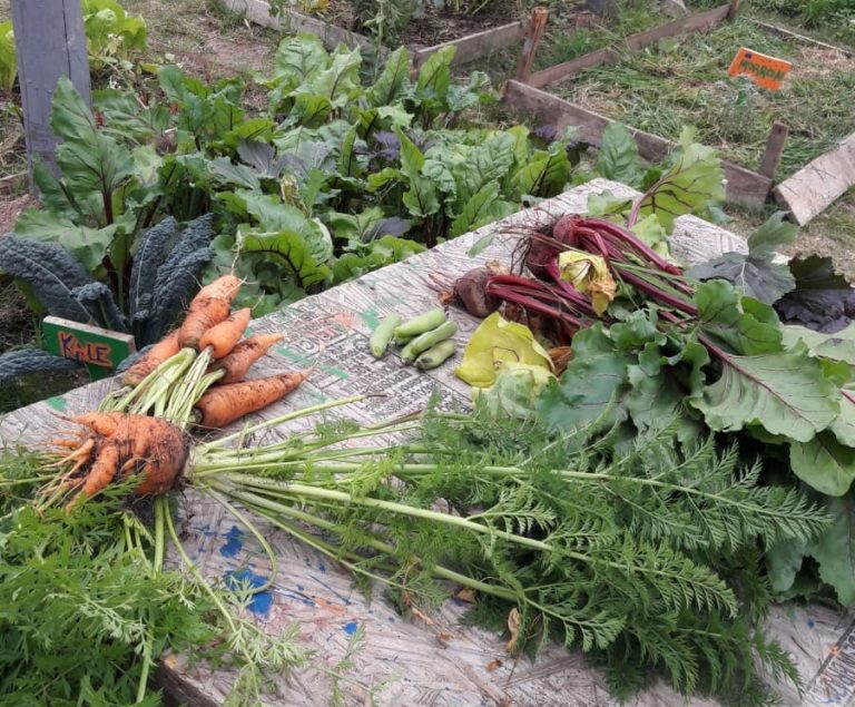 Qué es el compostaje y cómo se hace el compost